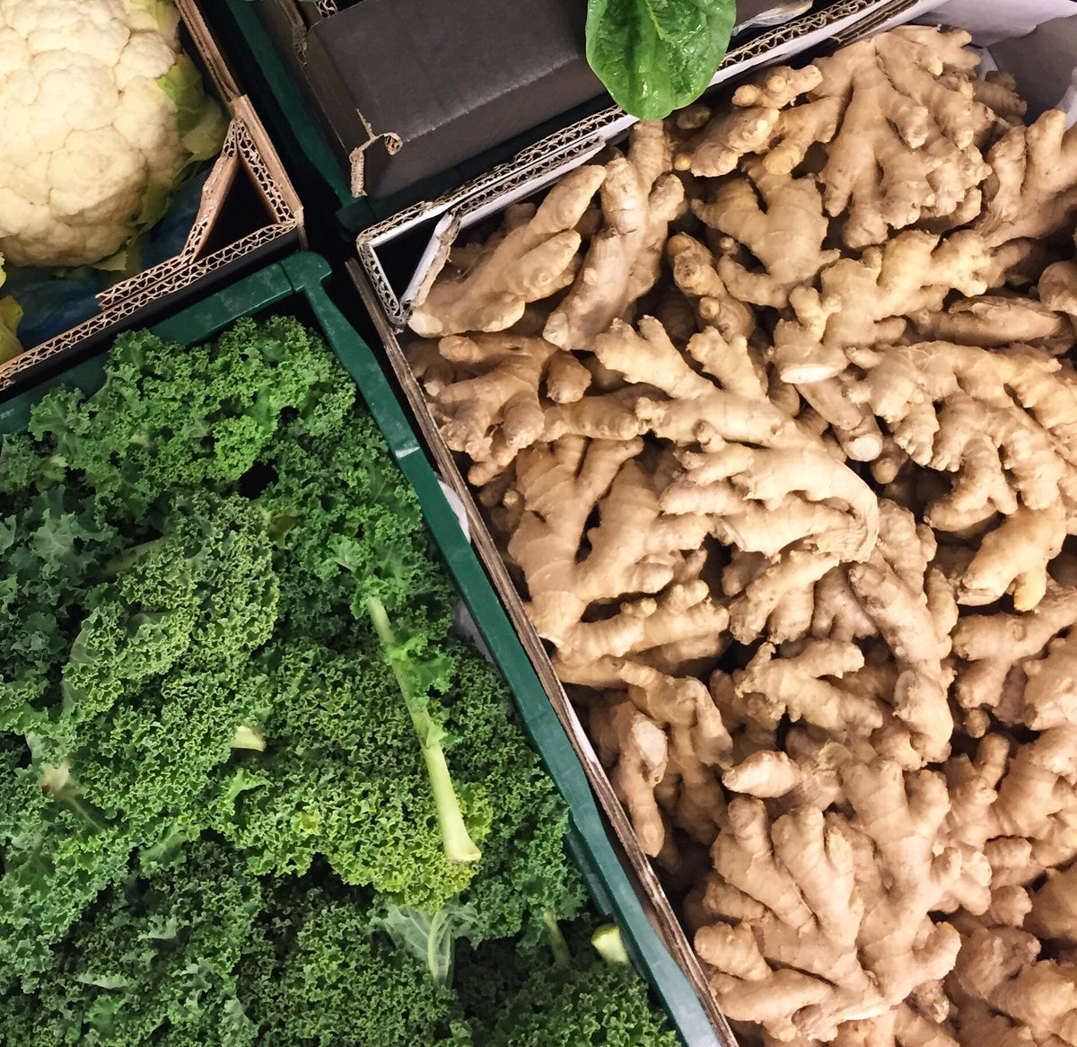 Er ingefær sundt at indtage? — Greenwitch